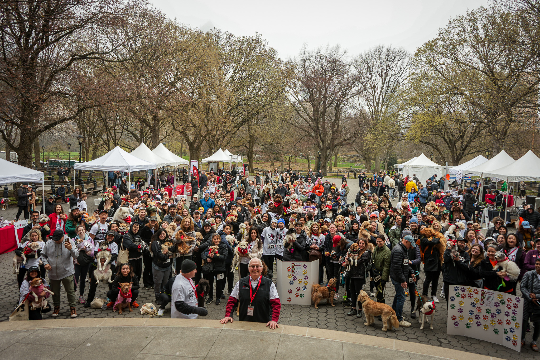 Cornell Richard P. Riney Canine Health Center hosts first annual Bark ...
