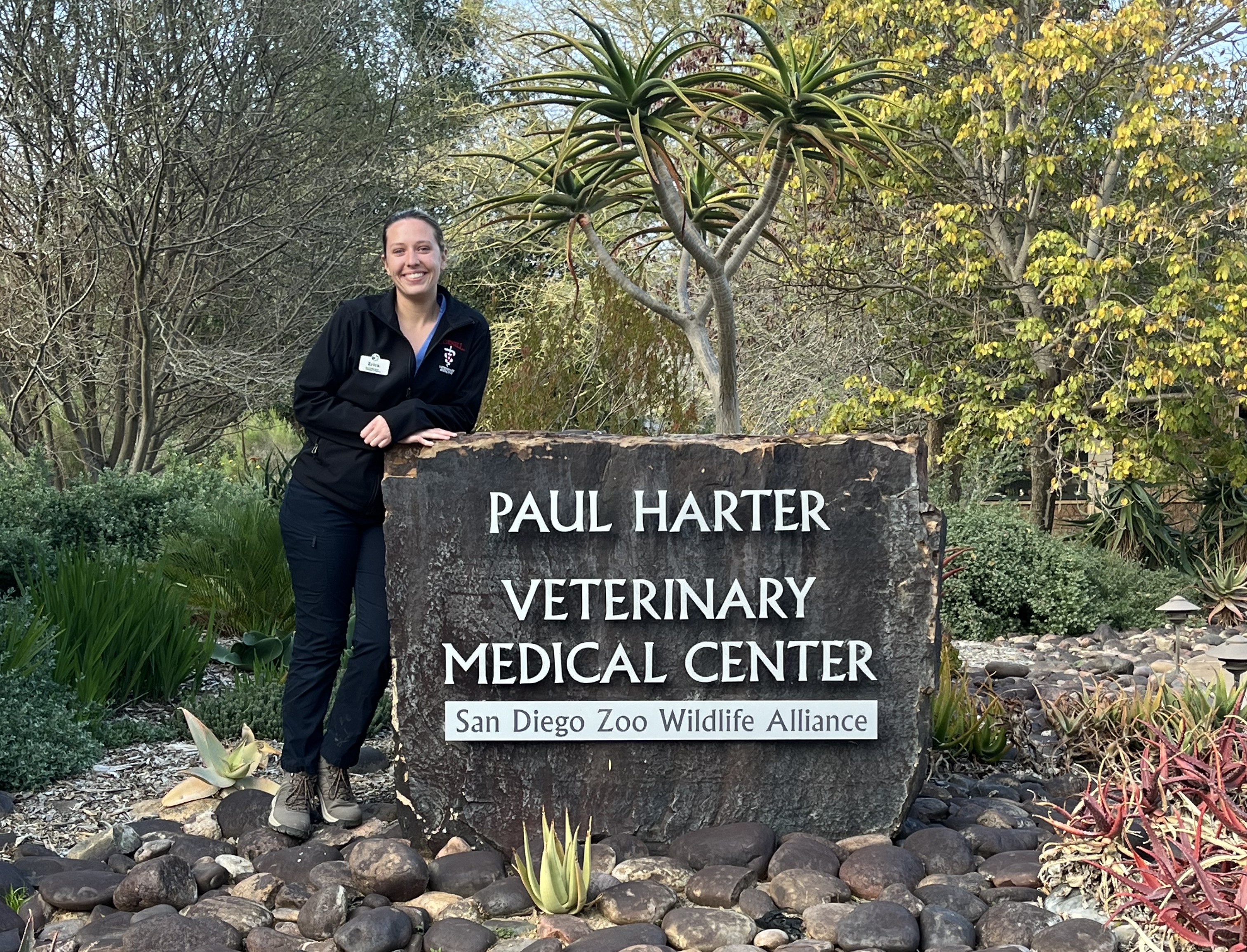 Student blog: A remarkable clinical externship at San Diego Zoo Safari ...