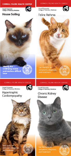 Client Information Brochures | Cornell University College of Veterinary ...