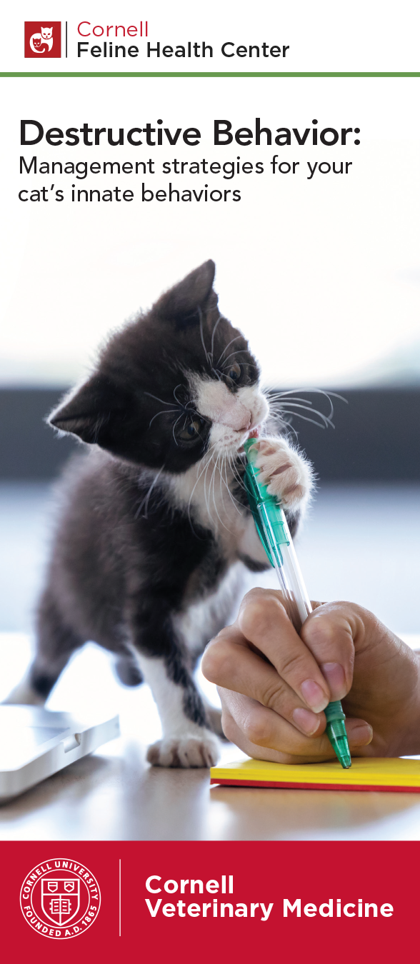 Client Information Brochures | Cornell University College of Veterinary ...