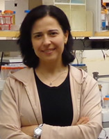 Lab Members | Cornell University College of Veterinary Medicine