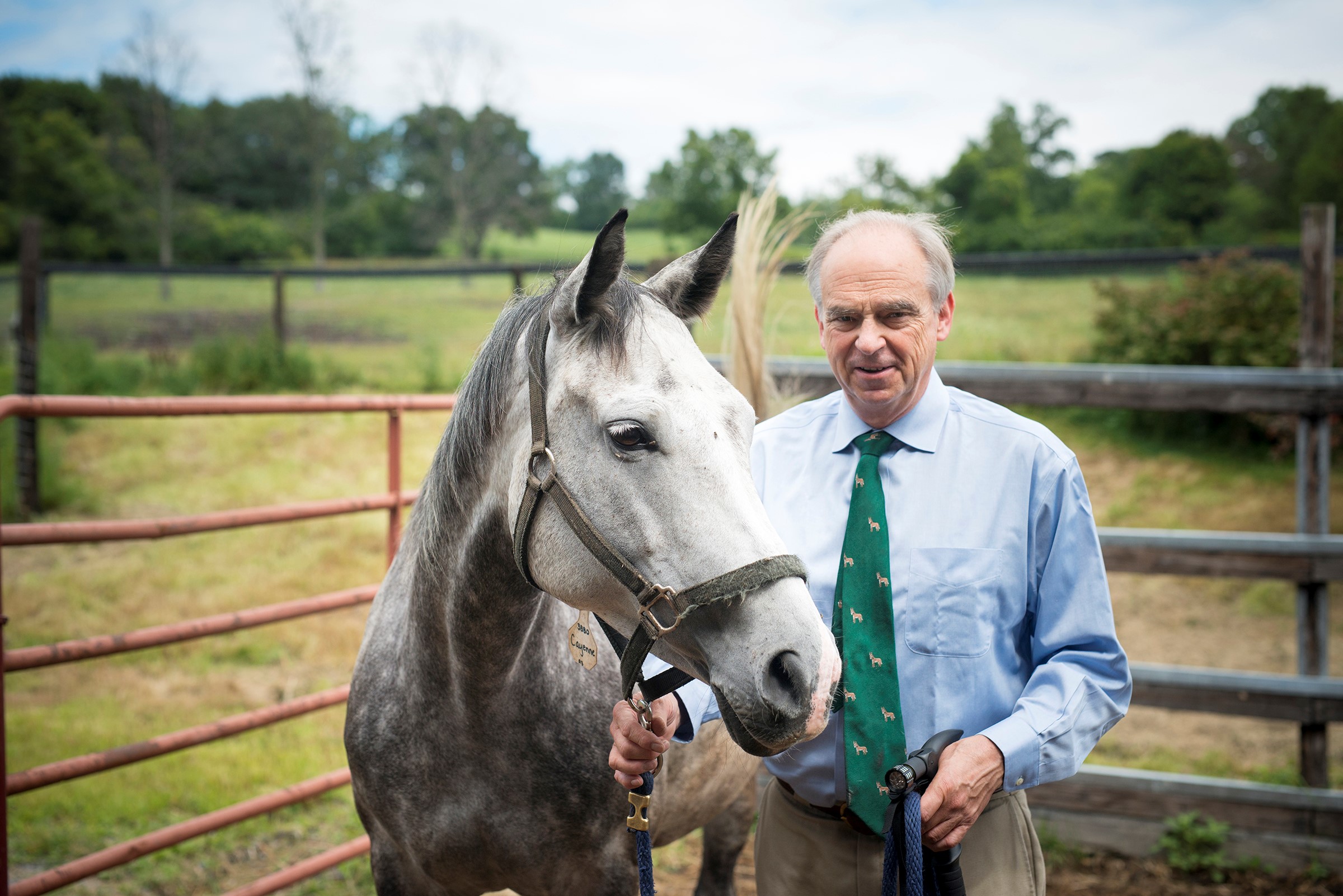Equine Seminar Series | Cornell University College of Veterinary Medicine