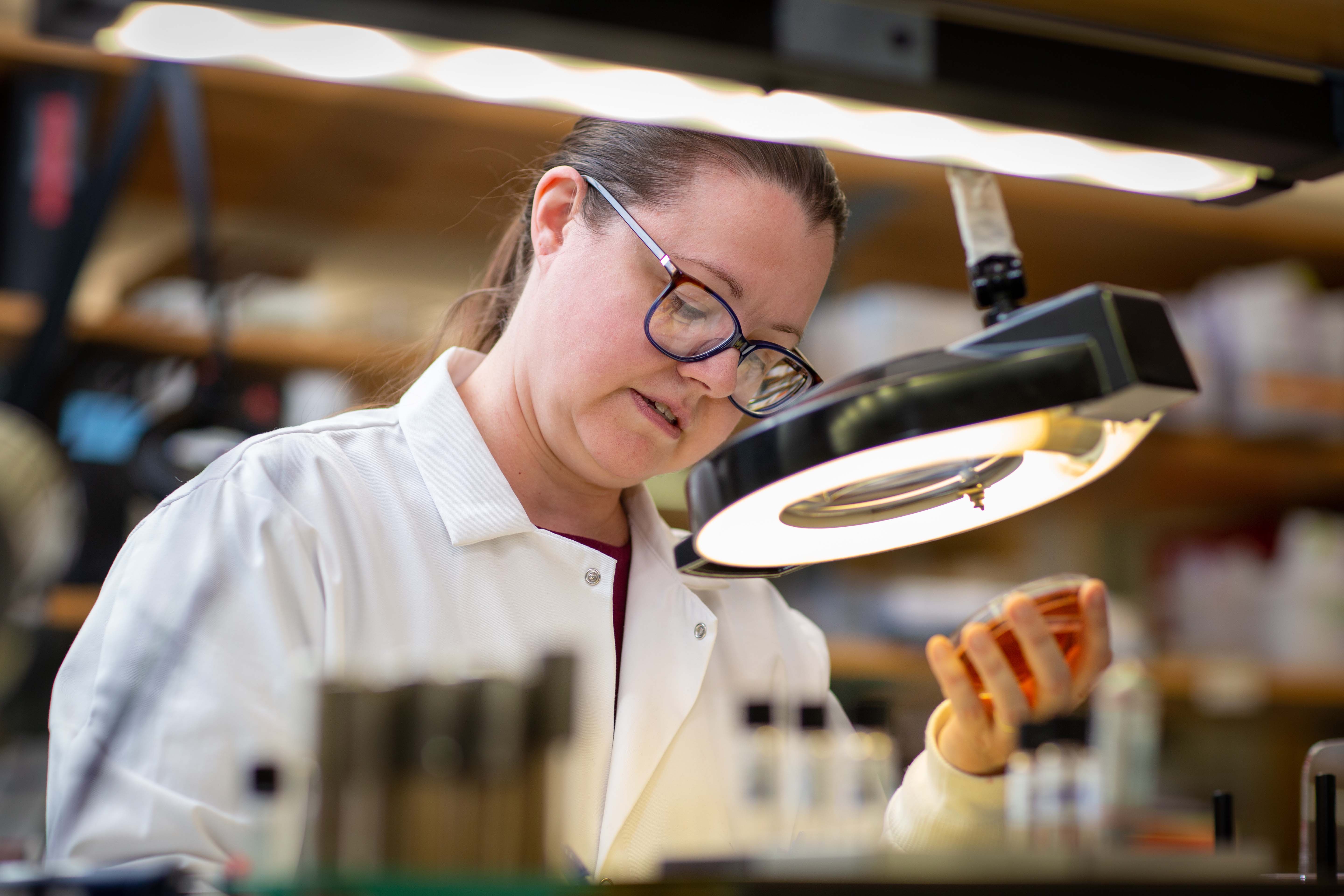 One Health | Cornell University College of Veterinary Medicine