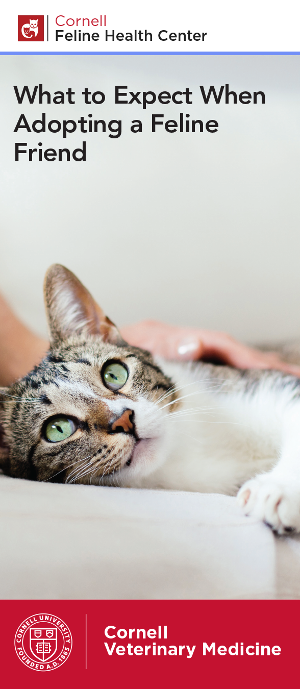 Client Information Brochures | Cornell University College of Veterinary ...