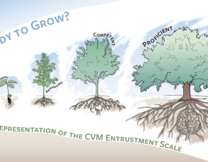 Educational Support Services | Cornell University College of Veterinary ...