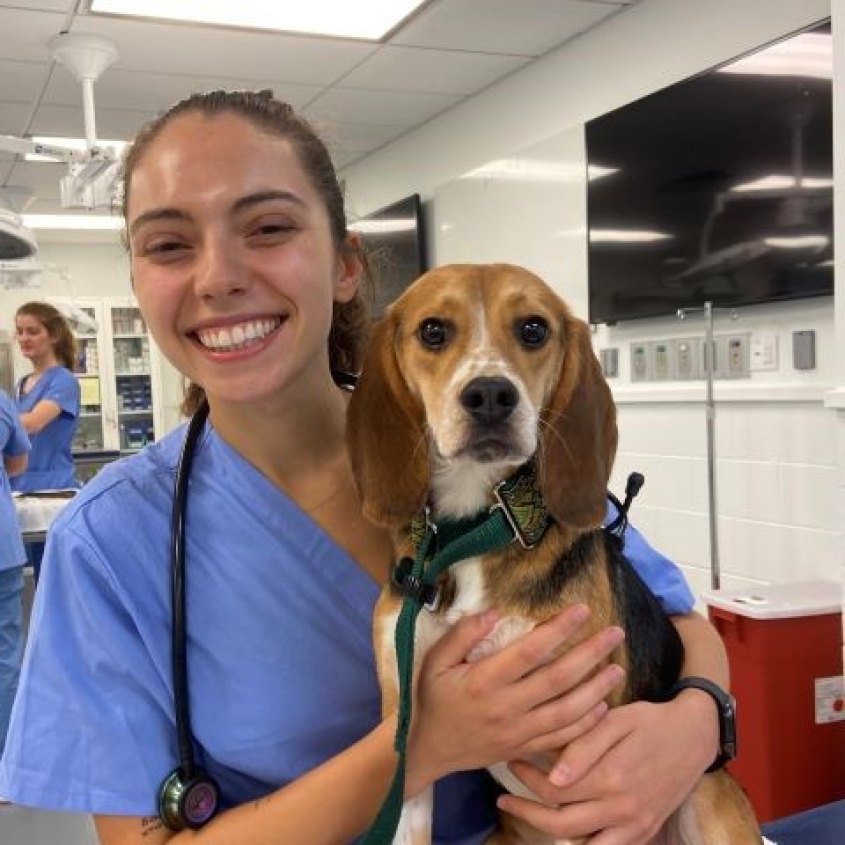 Meet Our Team | Cornell University College of Veterinary Medicine