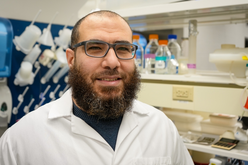 Dr. Shebl Salem named recipient of Center of Vertebrates Genomics ...