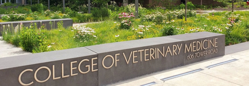 CVM facilities, CARE teams, recognized as 2023 Cornell Heroes | Cornell ... CVM facilities, CARE teams, recognized as 2023 Cornell Heroes | Cornell ...